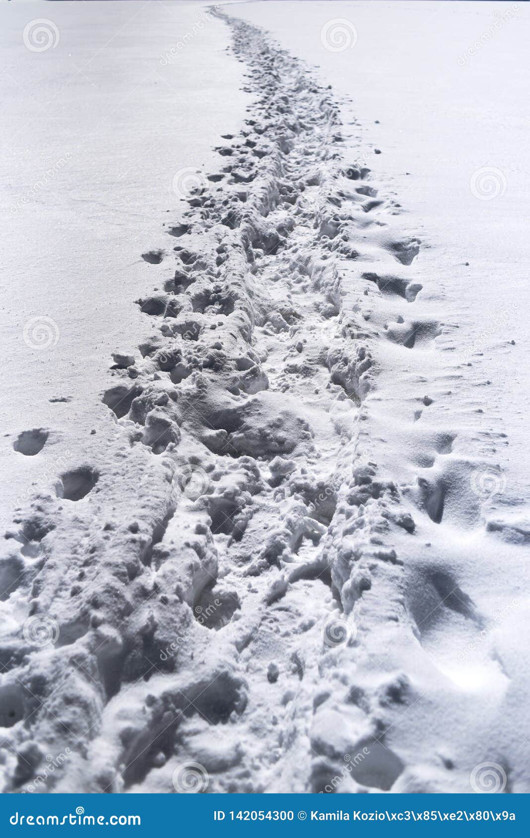 Mountain Path in the Snow in the Mountains. Stock Photo - Image of ...