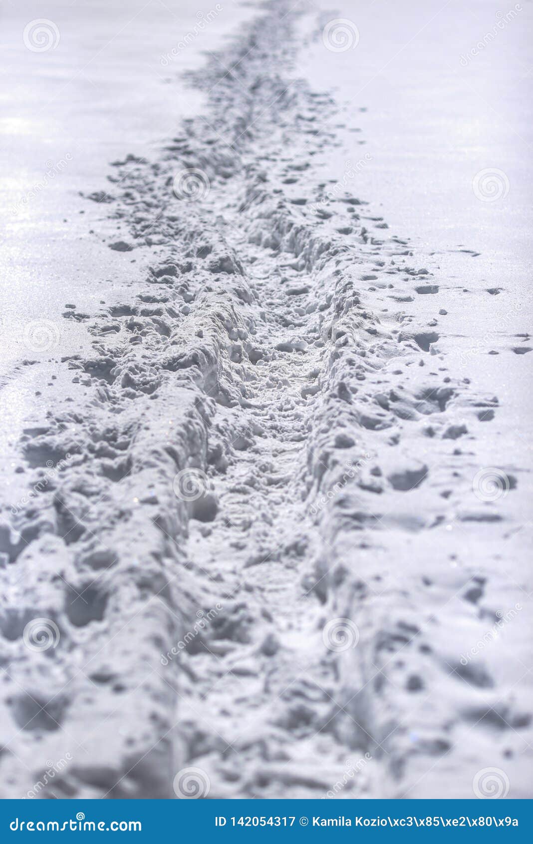 Mountain Path in the Snow in the Mountains Stock Image - Image of ...