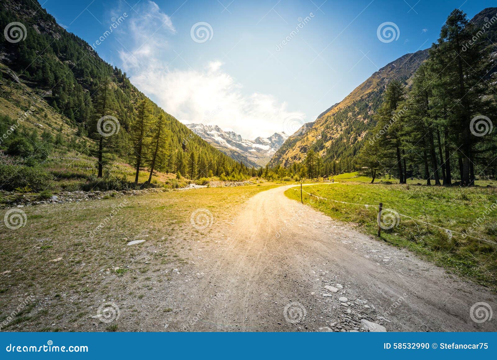 Mountain Path and Trees at Sunset Time Stock Photo - Image of nature ...