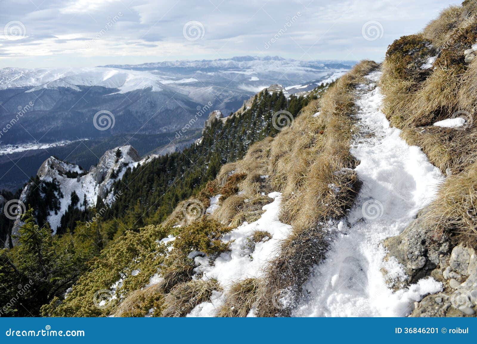Mountain path in winter stock image. Image of altitude - 36846201