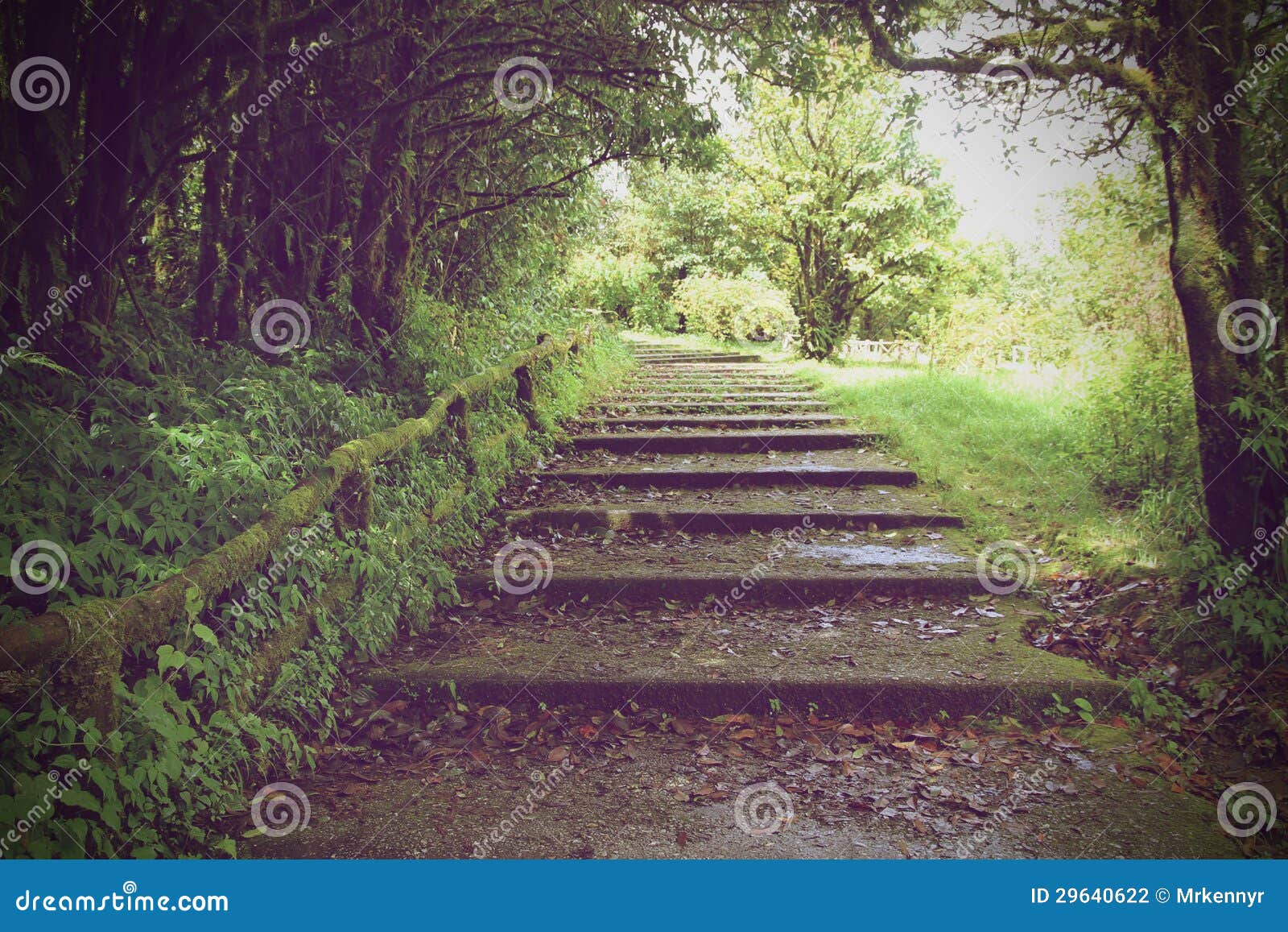 Mountain Pathway stock photo. Image of countryside, green - 29640622