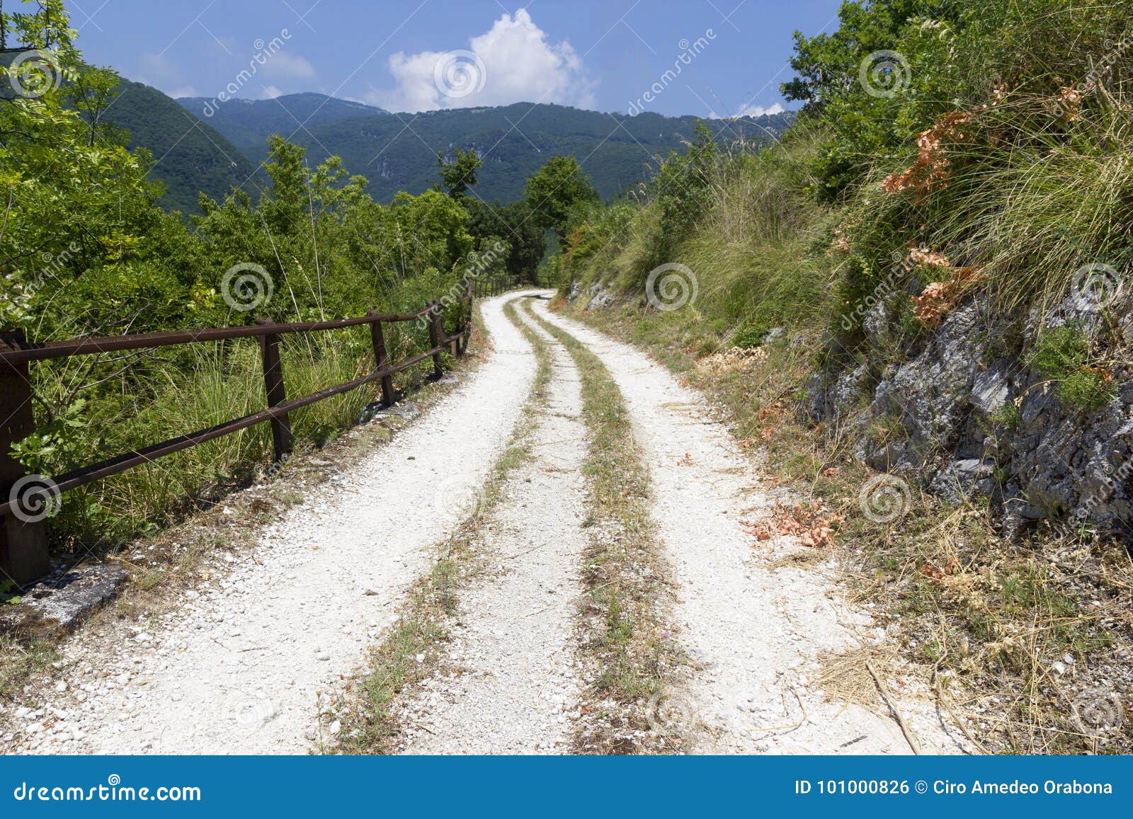 Mountain pathway stock photo. Image of green, beautiful - 101000826