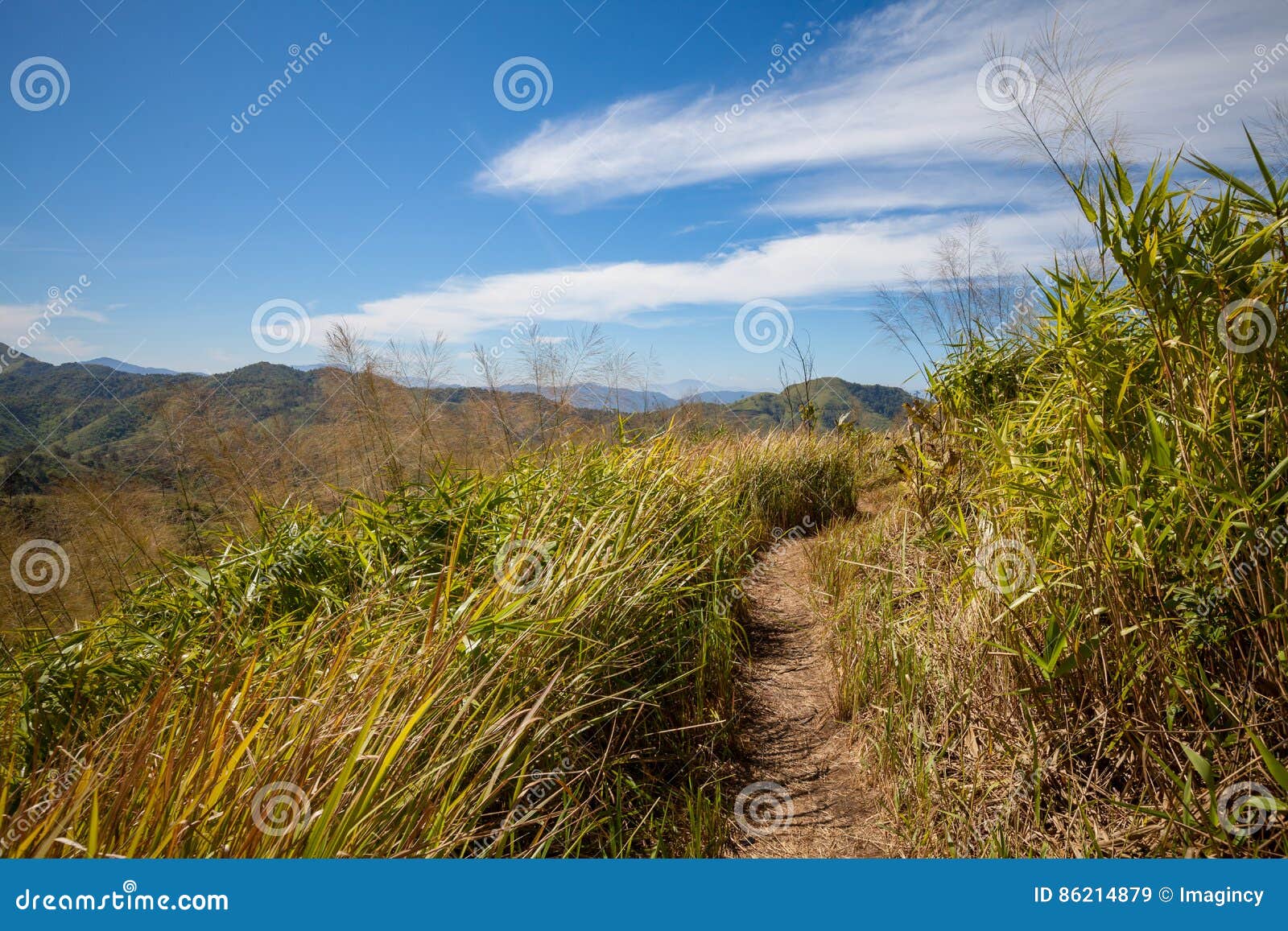 Mountain Pathway stock image. Image of forest, nature - 86214879