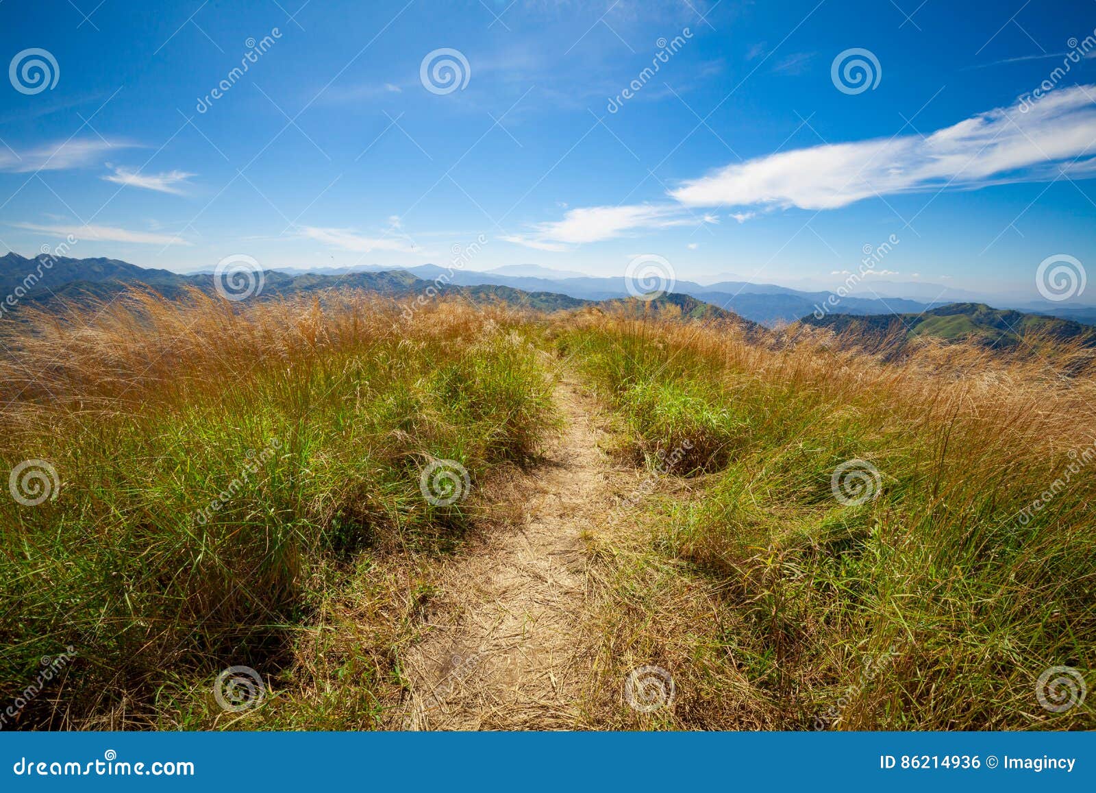 Mountain Pathway stock photo. Image of trek, landscape - 86214936