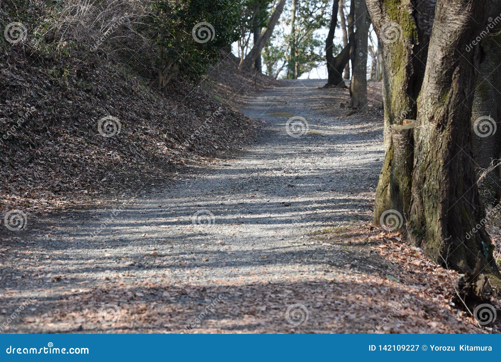 Mountain pathways stock image. Image of scenic, country - 142109227