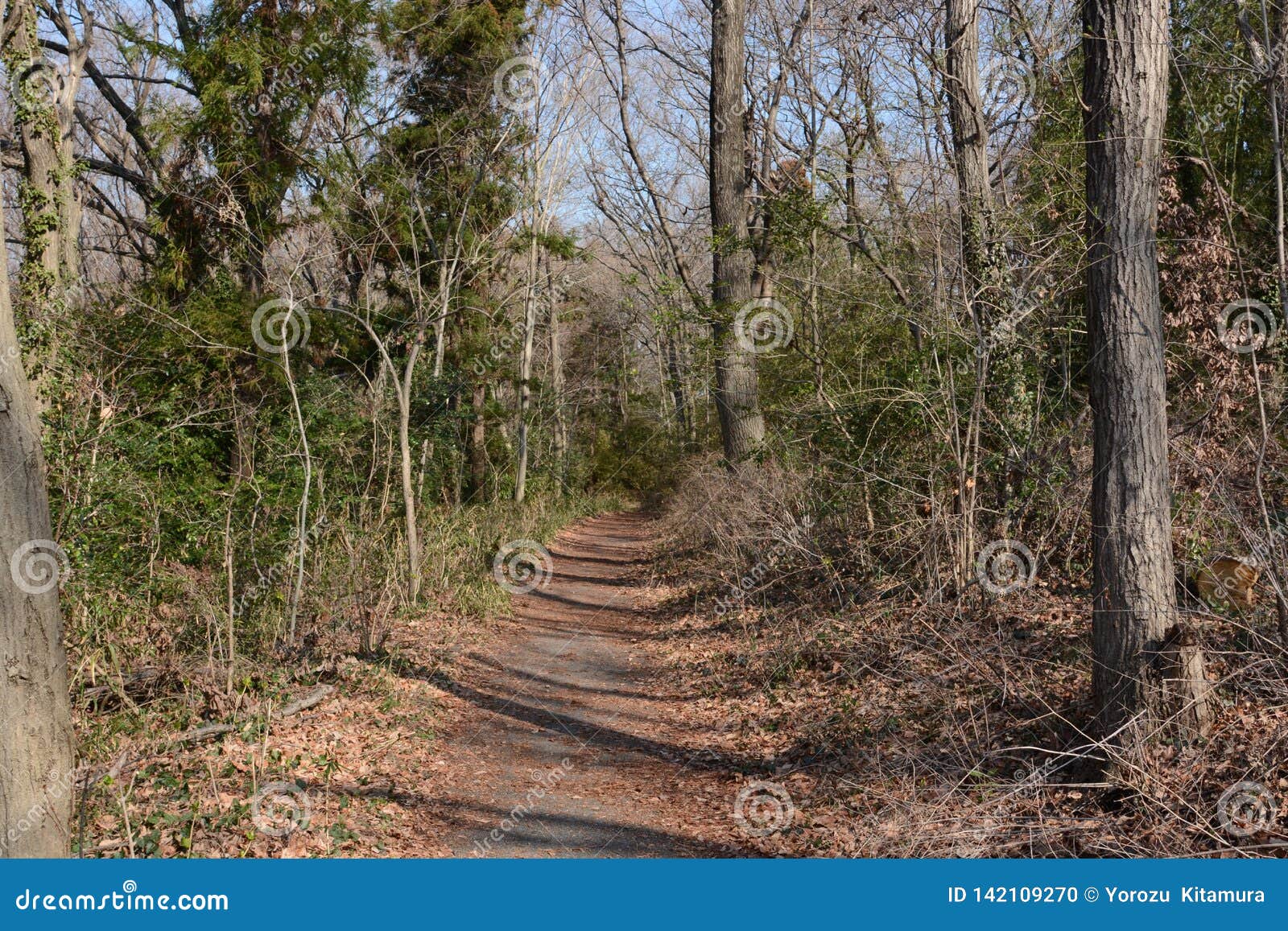 Mountain pathways stock photo. Image of outdoors, trail - 142109270