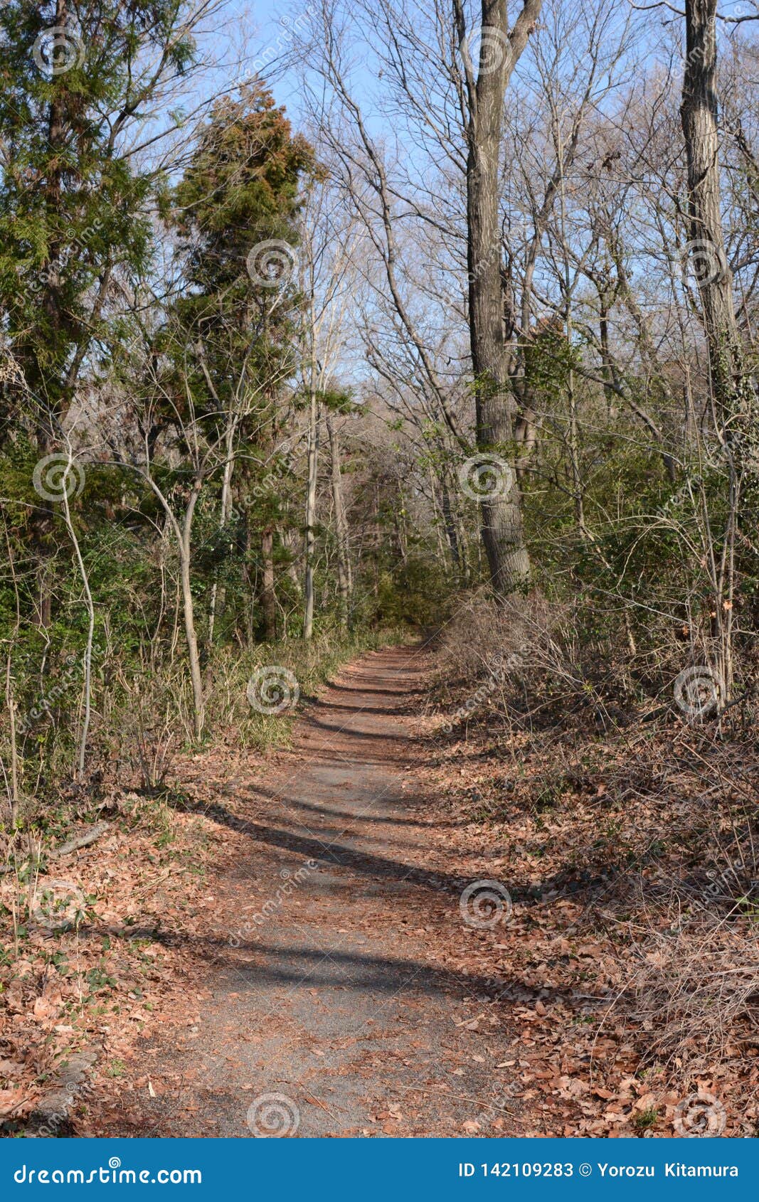 Mountain pathways stock image. Image of pass, tree, hill - 142109283