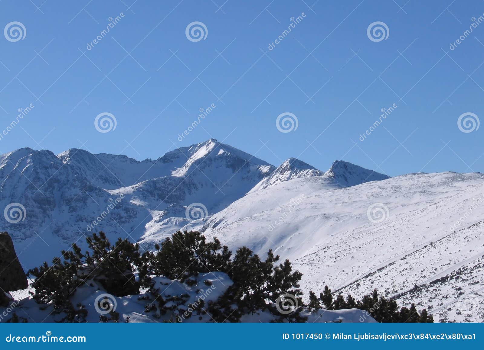 Mountain peak stock photo. Image of cable, tourist, forest - 1017450