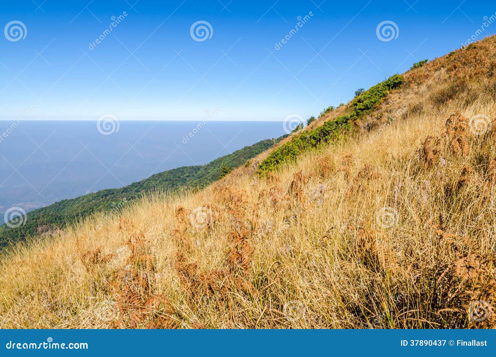 Mountain Peak with Dry Meadow Stock Image - Image of nature, land: 37890437