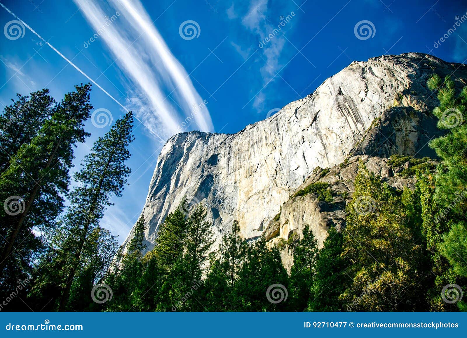 Mountain Peak Surrounded By Forest Picture. Image: 92710477