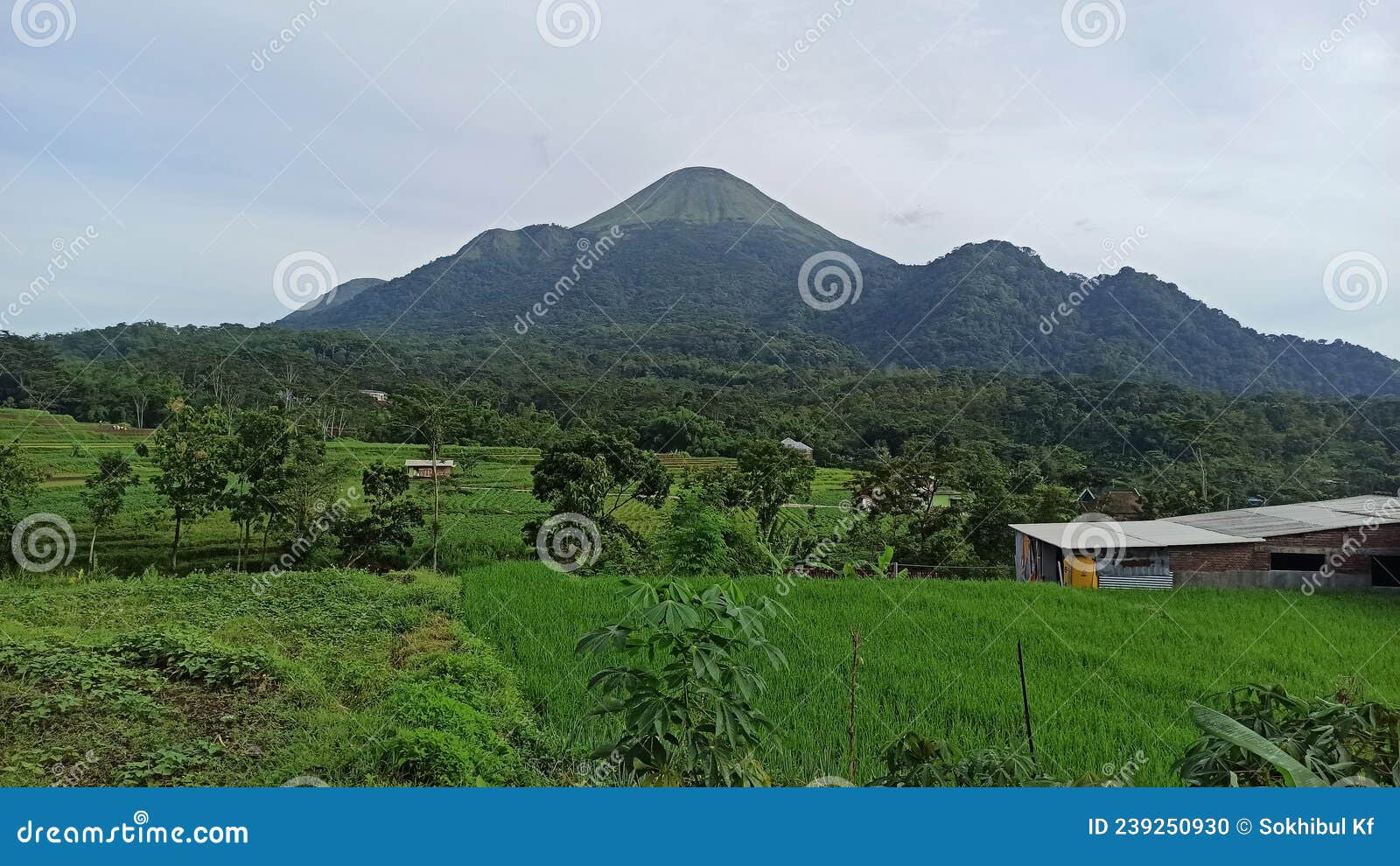Mountain Penanggungan in West Java Stock Photo - Image of happiness ...