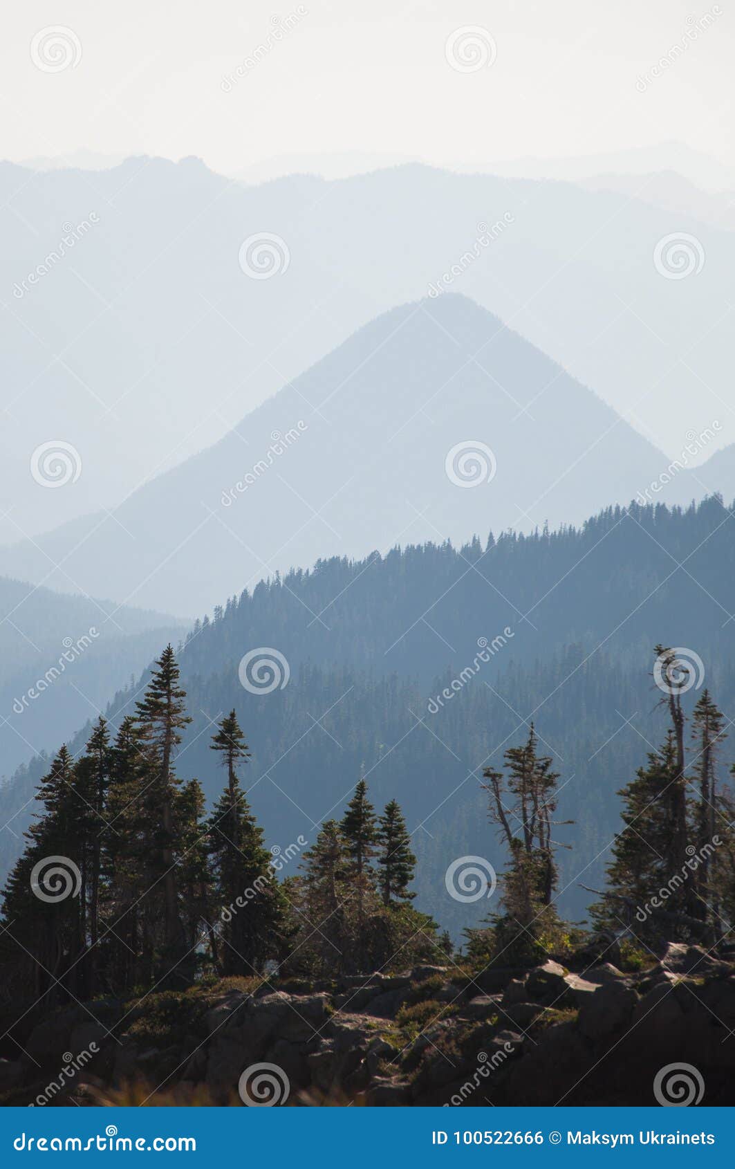 Mountain Perspective stock photo. Image of hills, evergreen - 100522666