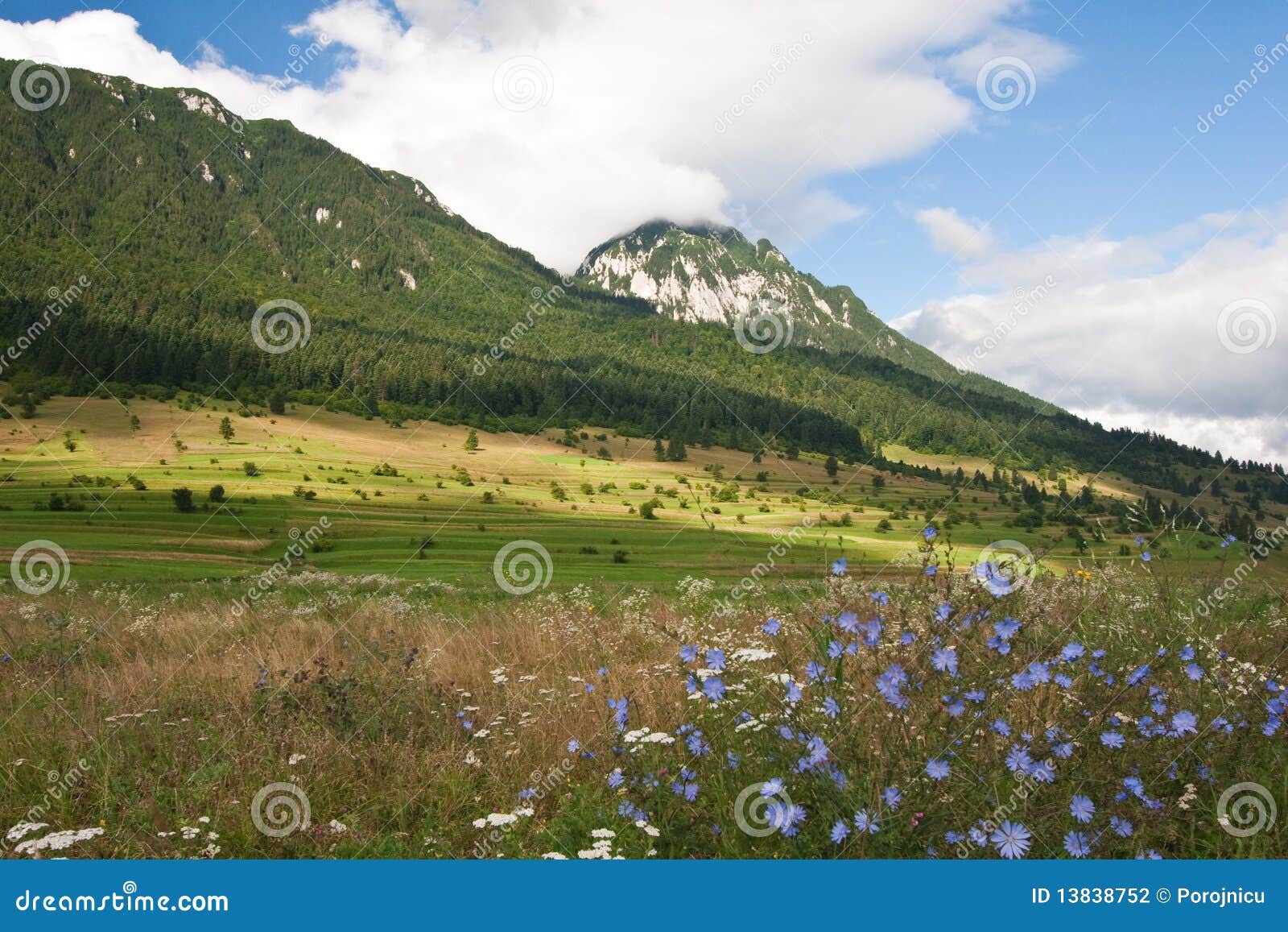 Mountain plain stock photo. Image of green, spring, floral - 13838752