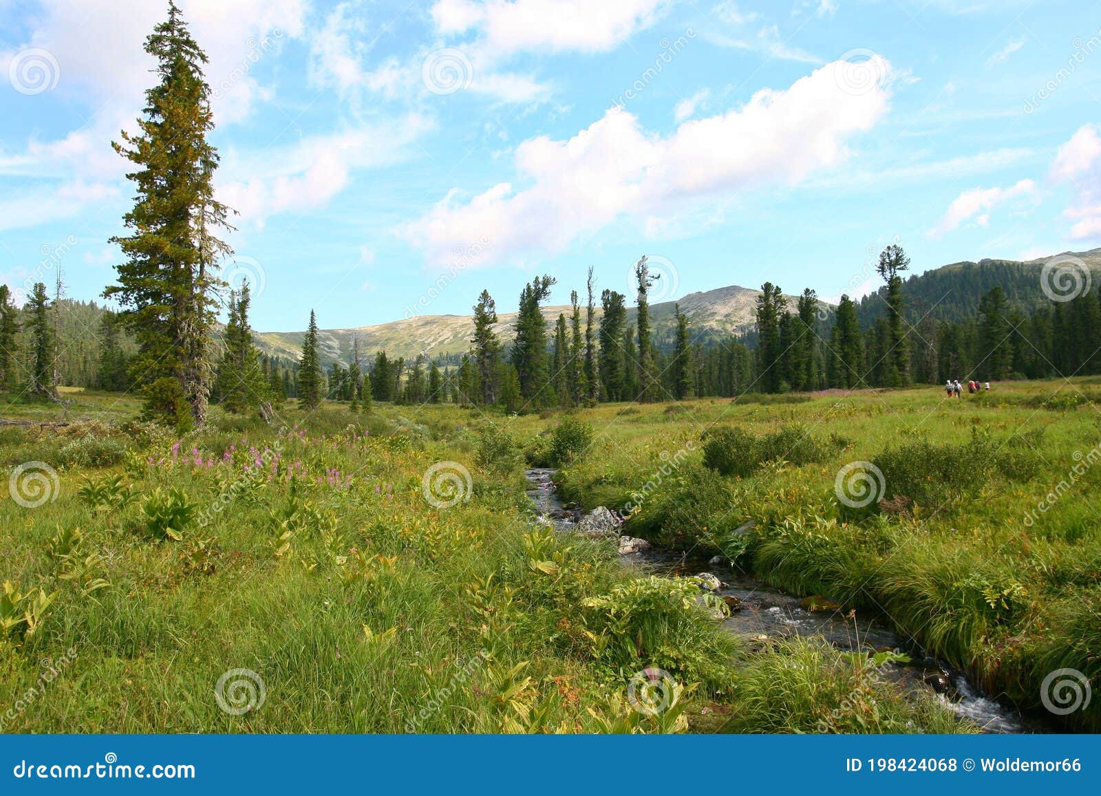 A Stream that Flows through a Mountain Valley. Stock Photo - Image of ...