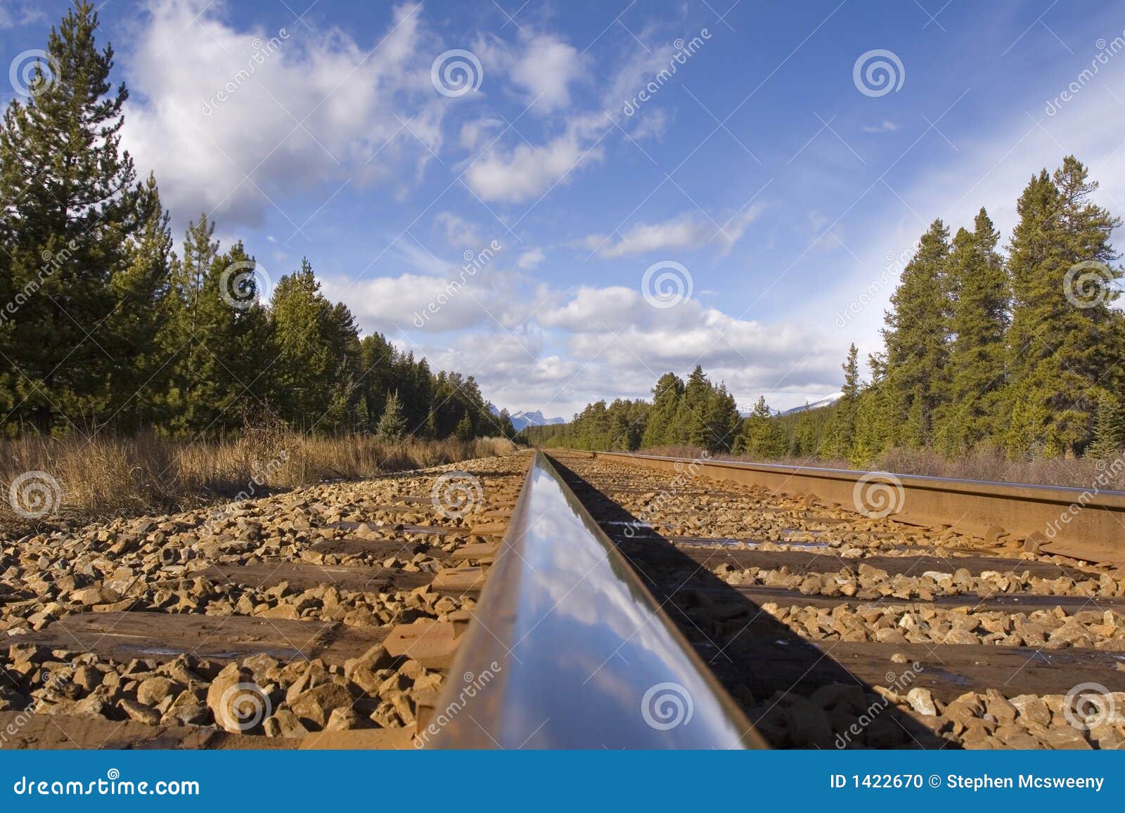 Mountain Rails Picture. Image: 1422670