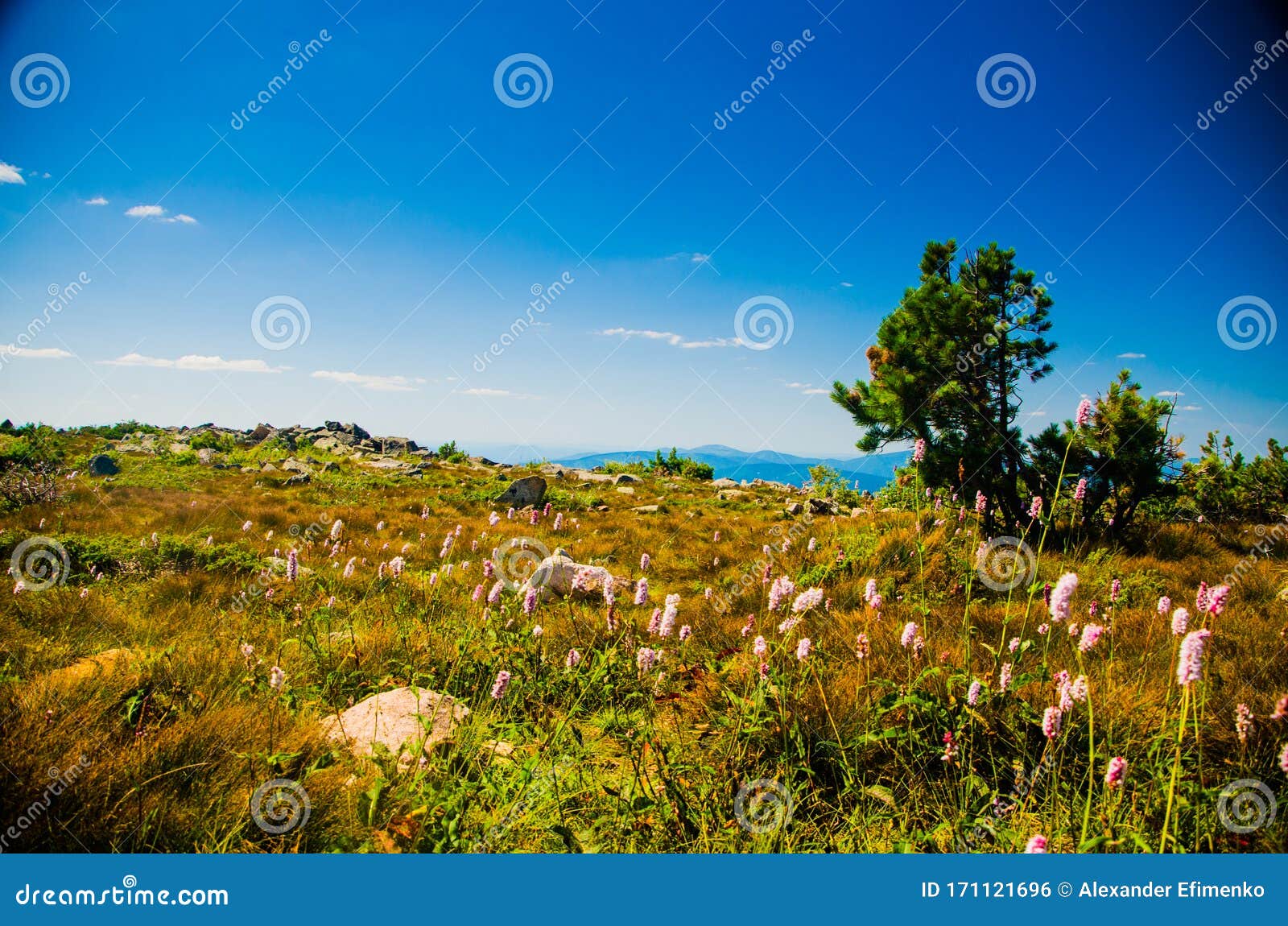Mountain Range. Big High Hills in Green Stock Photo - Image of nature ...