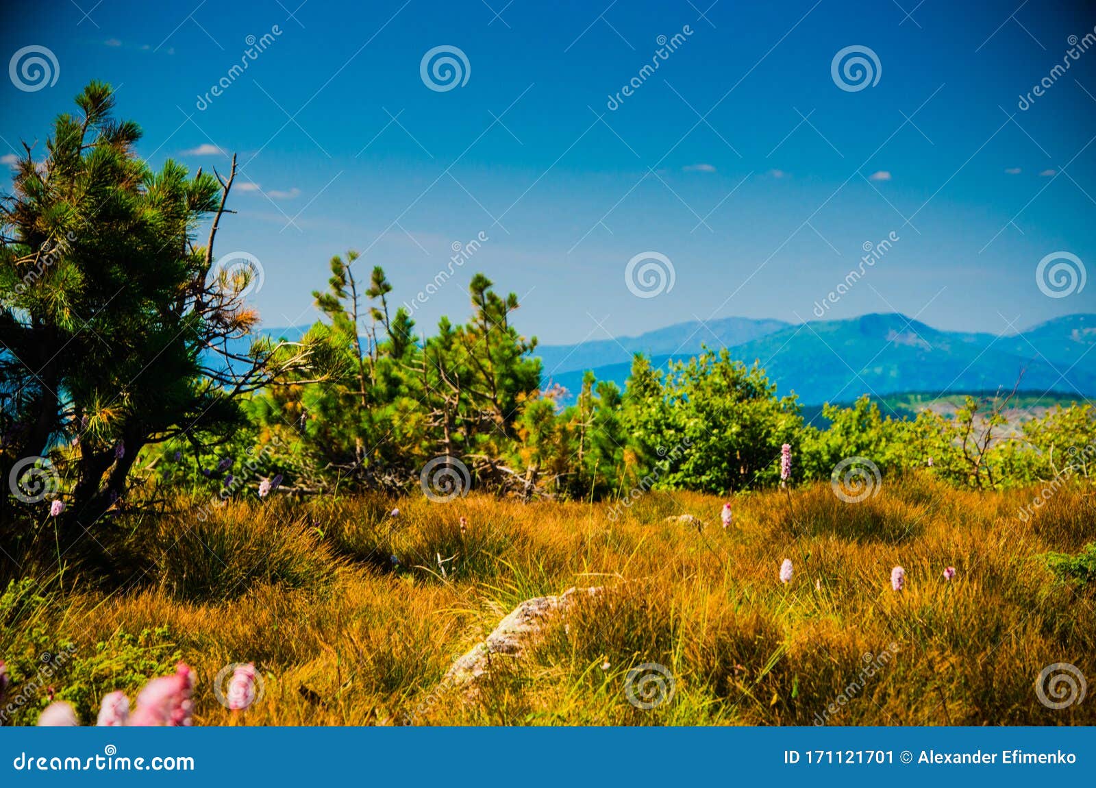 Mountain Range. Big High Hills in Green Stock Image - Image of sunlight ...