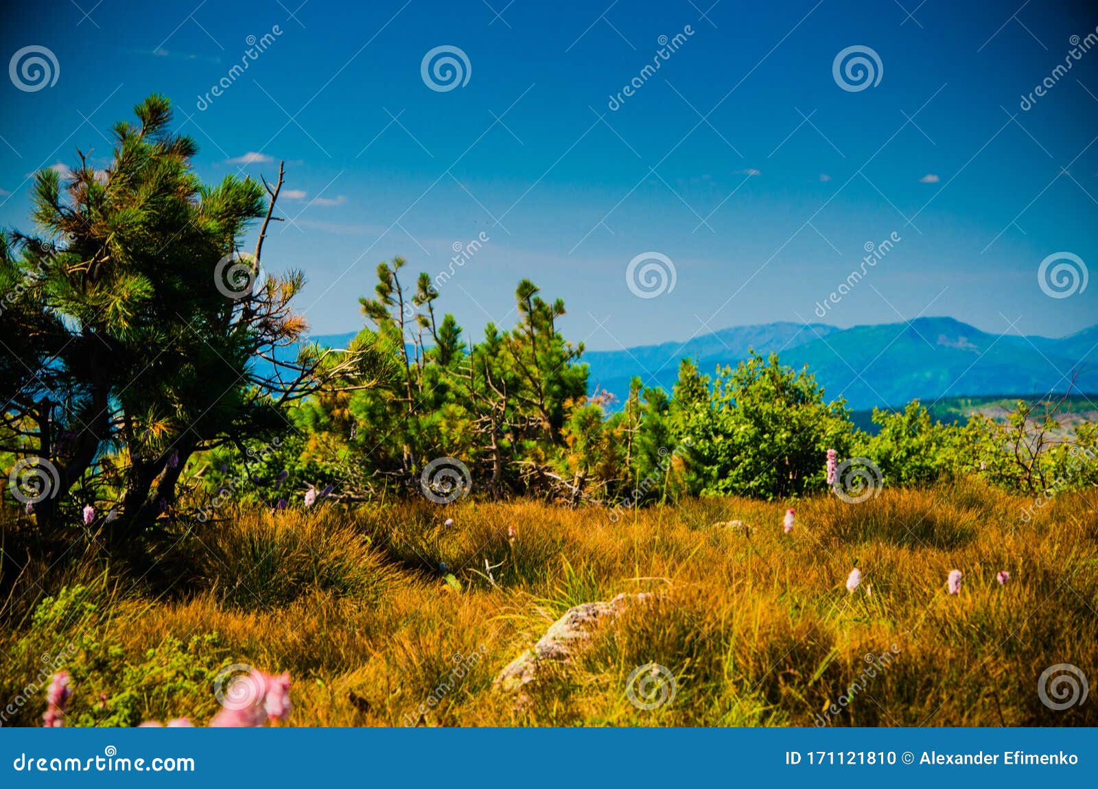 Mountain Range. Big High Hills in Green Stock Photo - Image of dark ...