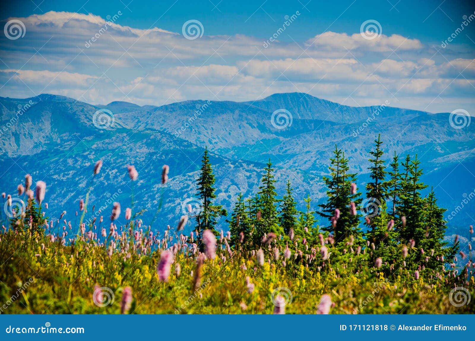 Mountain Range. Big High Hills in Green Stock Photo - Image of yellow ...
