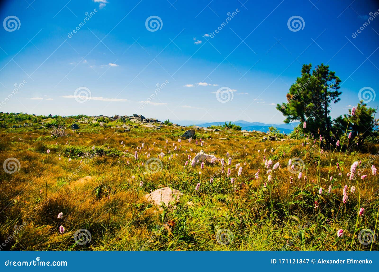 Mountain Range. Big High Hills in Green Stock Image - Image of yellow ...