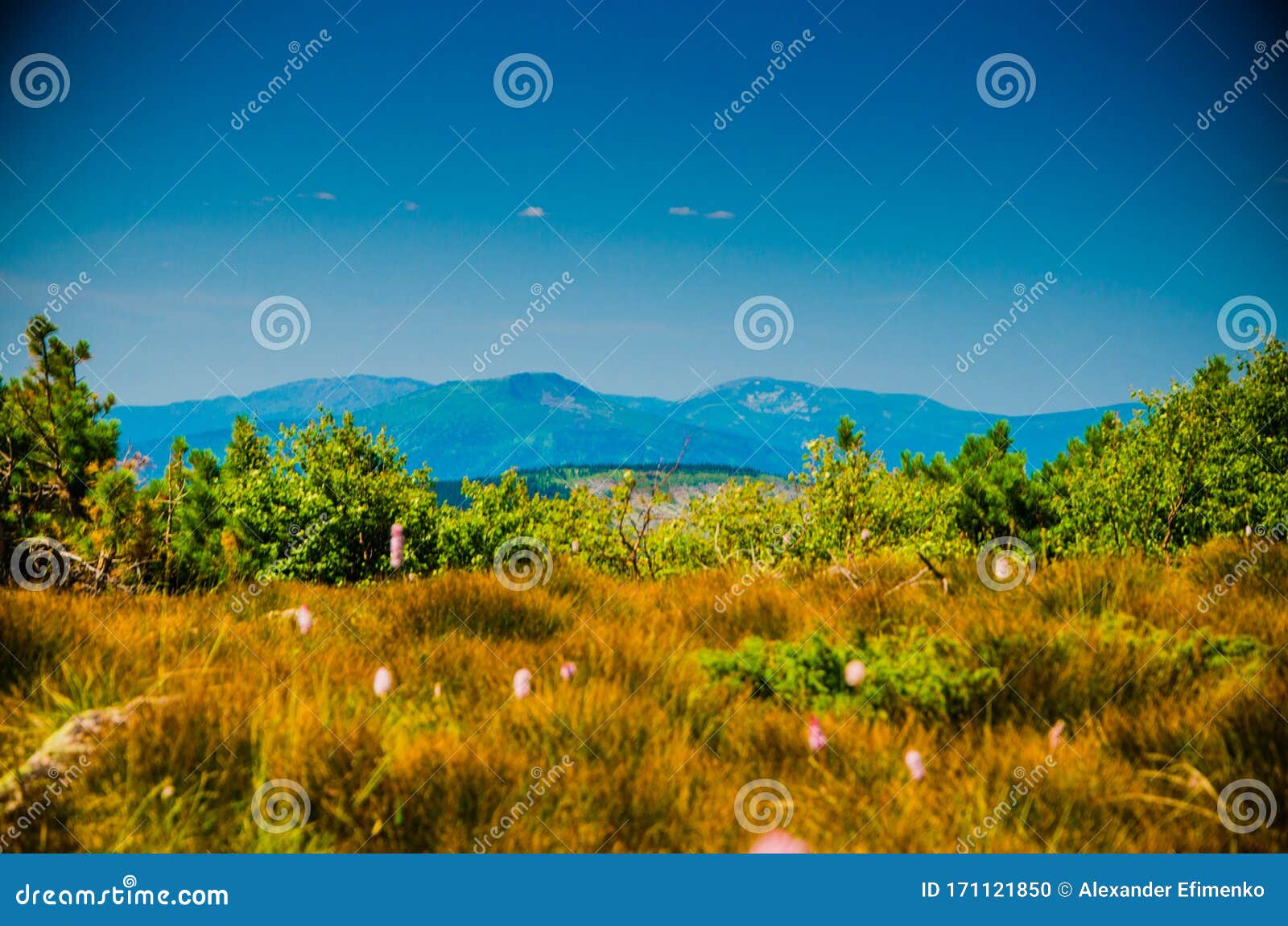 Mountain Range. Big High Hills in Green Stock Photo - Image of path ...