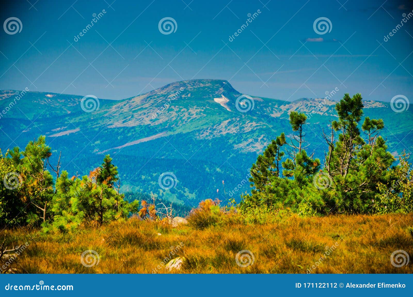 Mountain Range. Big High Hills in Green Stock Photo - Image of tree ...