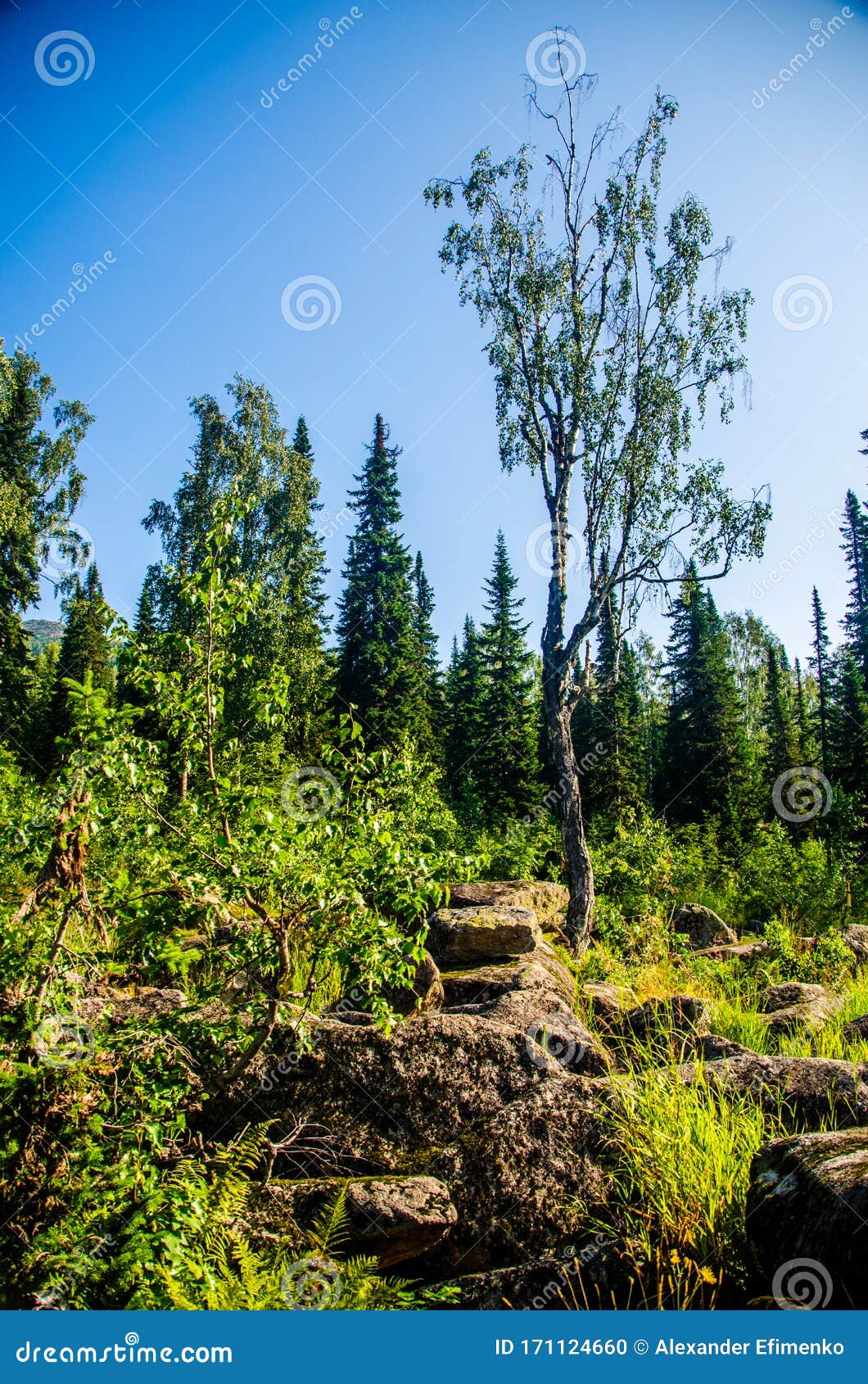 Mountain Range. Big High Hills in Green Stock Photo - Image of light ...