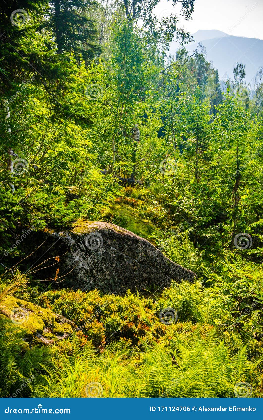 Mountain Range. Big High Hills in Green Stock Photo - Image of light ...