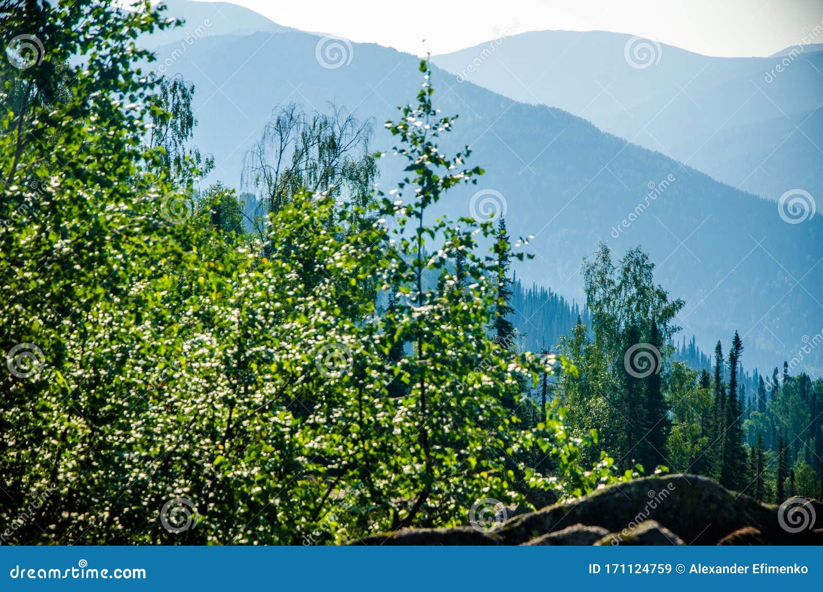 Mountain Range. Big High Hills in Green Stock Image - Image of dark ...