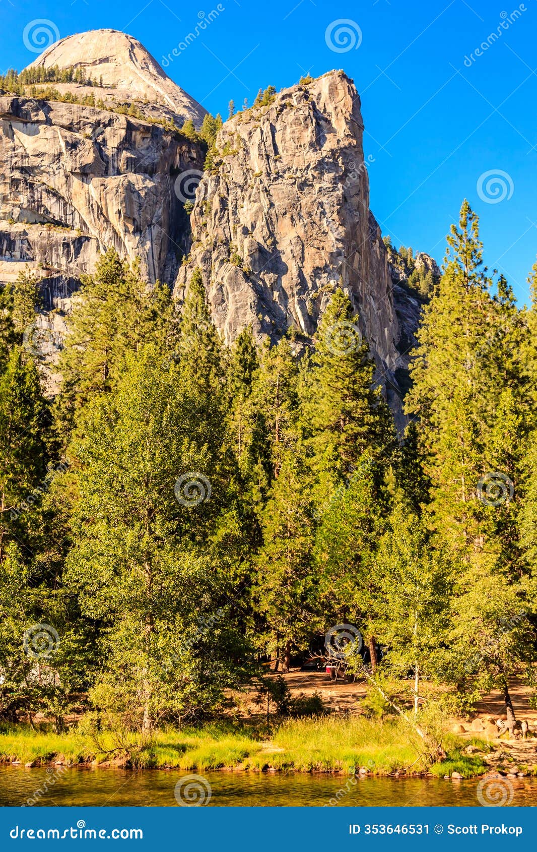 A Mountain Range with a Forest in the Foreground Stock Image - Image of ...