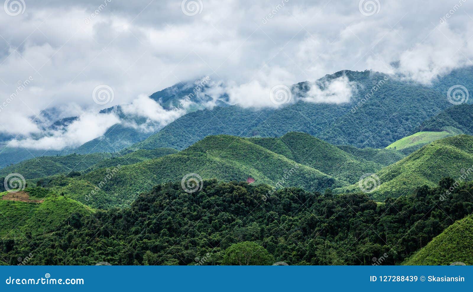 Mountain Range Inside Rainforest Park Covered by Cloud Stock Image ...