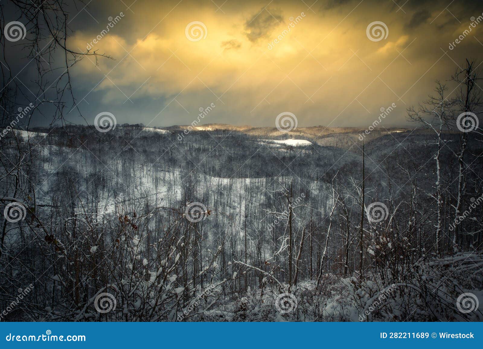 Mountain Range with Lush Trees at Sunset Stock Image - Image of lush ...