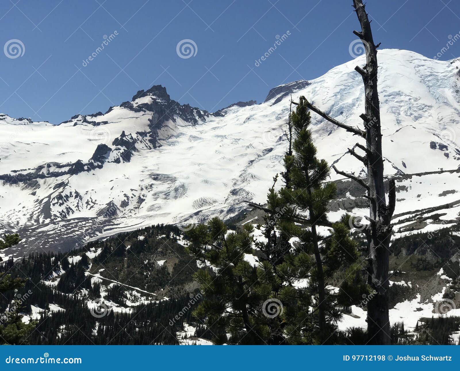 Mountain Range of Mount Rainier Stock Photo - Image of elevation, range: 97712198