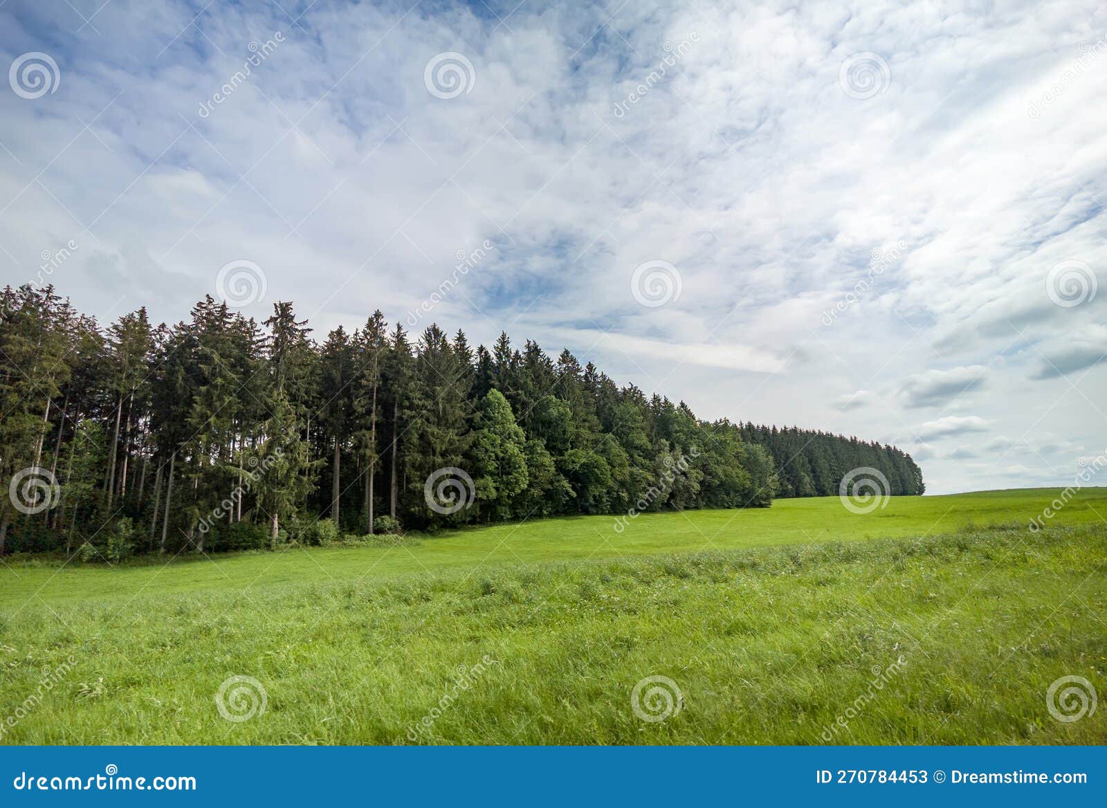 Mountain Range Nature Landscape. Forest and Mountain Landscape Stock ...