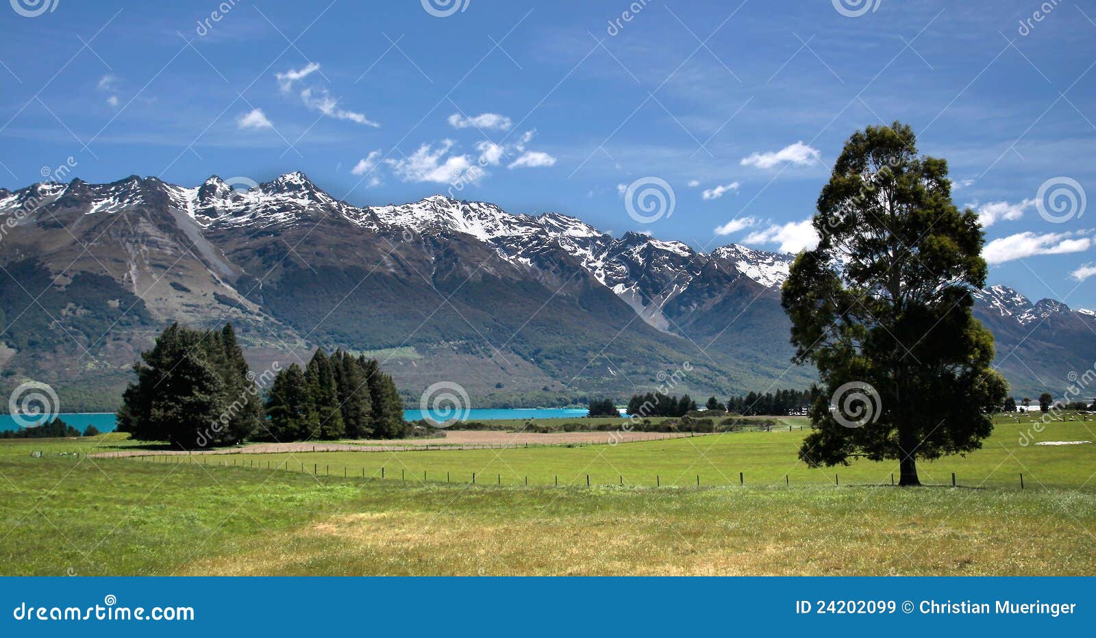 Mountain Range Near Queenstown Stock Image - Image of tree, southern ...