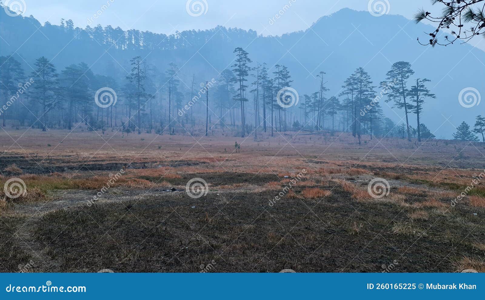 Mountain Range Tropical Rainforest Canopy in Arunachal with More Mist ...