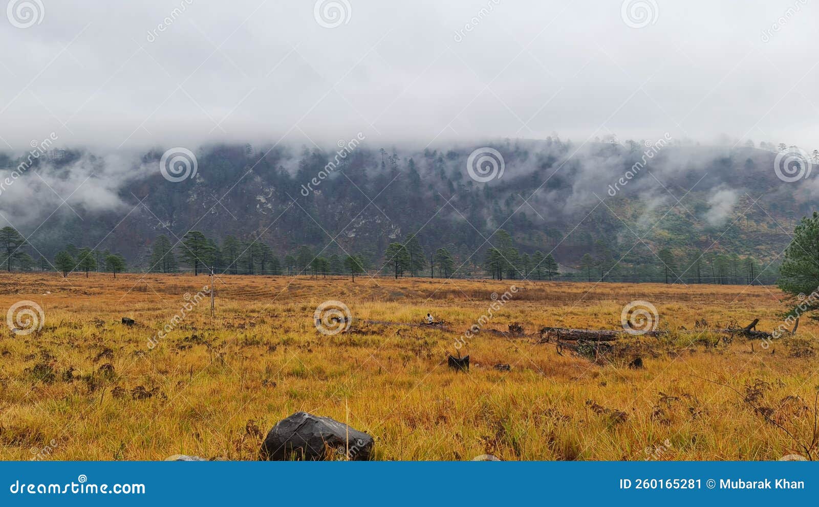 Mountain Range Tropical Rainforest Canopy in Arunachal with More Mist ...
