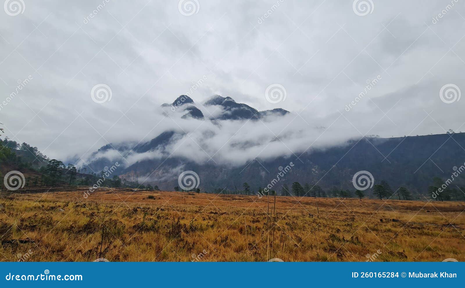 Mountain Range Tropical Rainforest Canopy in Arunachal with More Mist ...