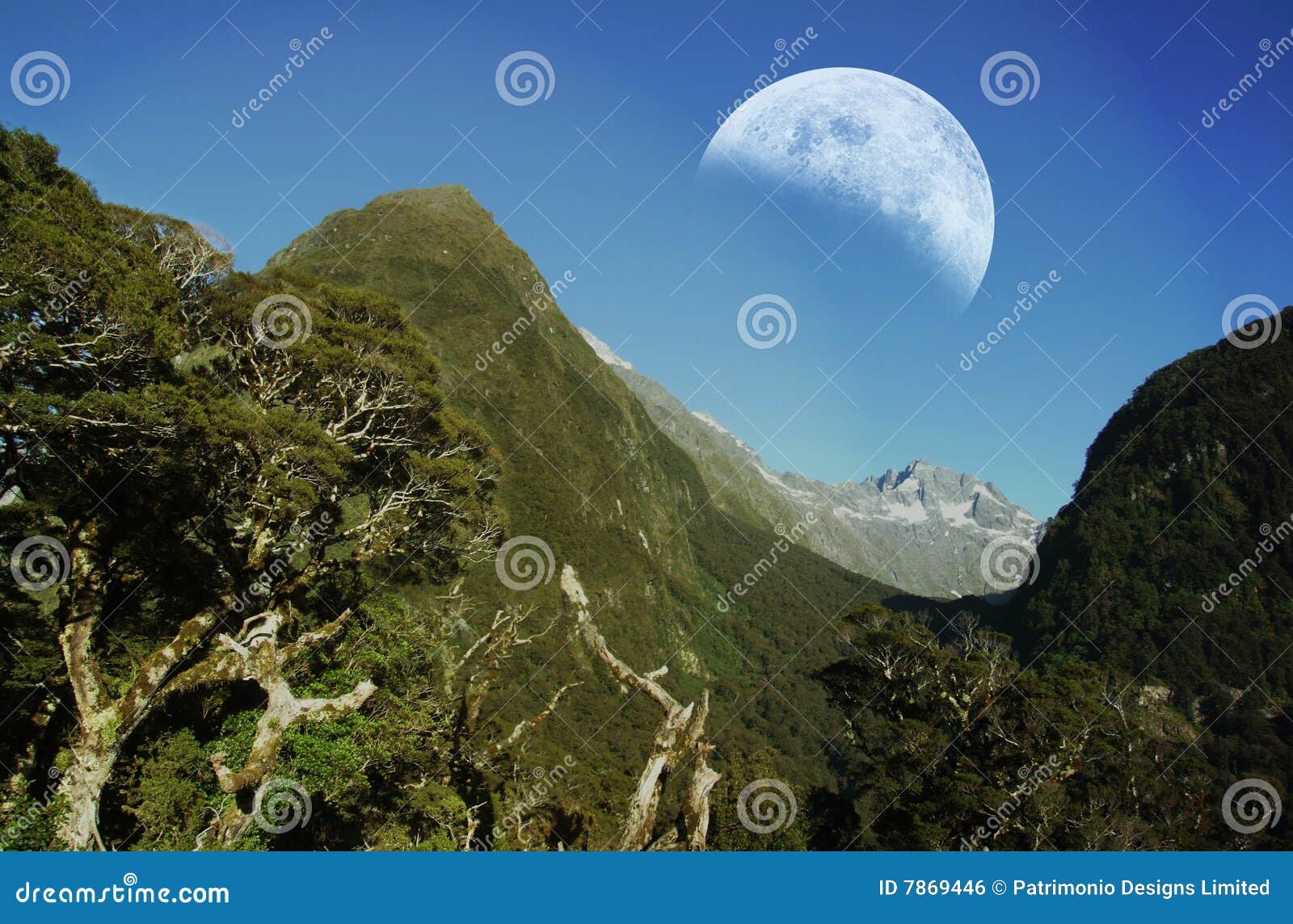 Mountain ranges with moon stock photo. Image of trees - 7869446