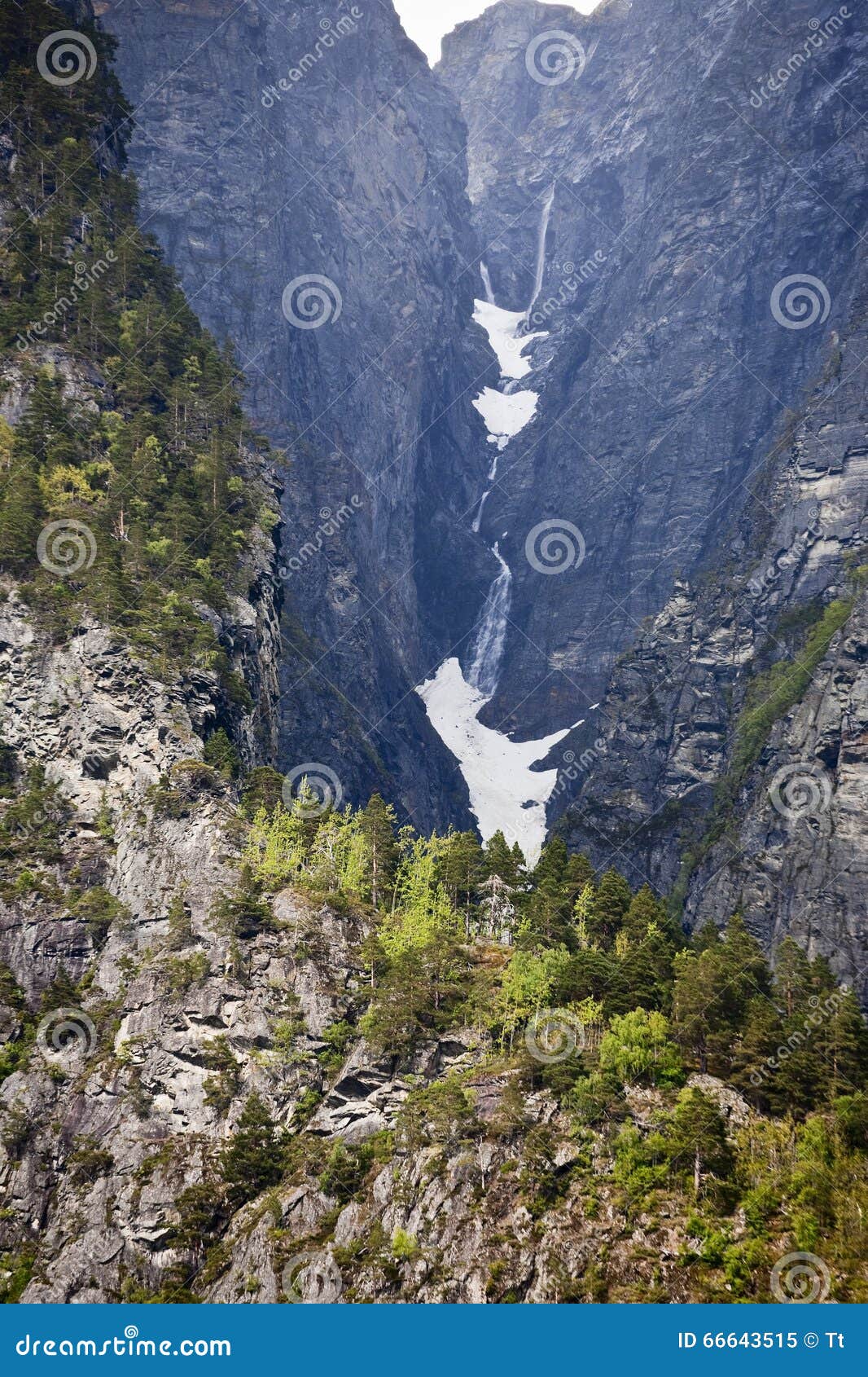 Mountain ravine stock image. Image of mountains, conifer - 66643515