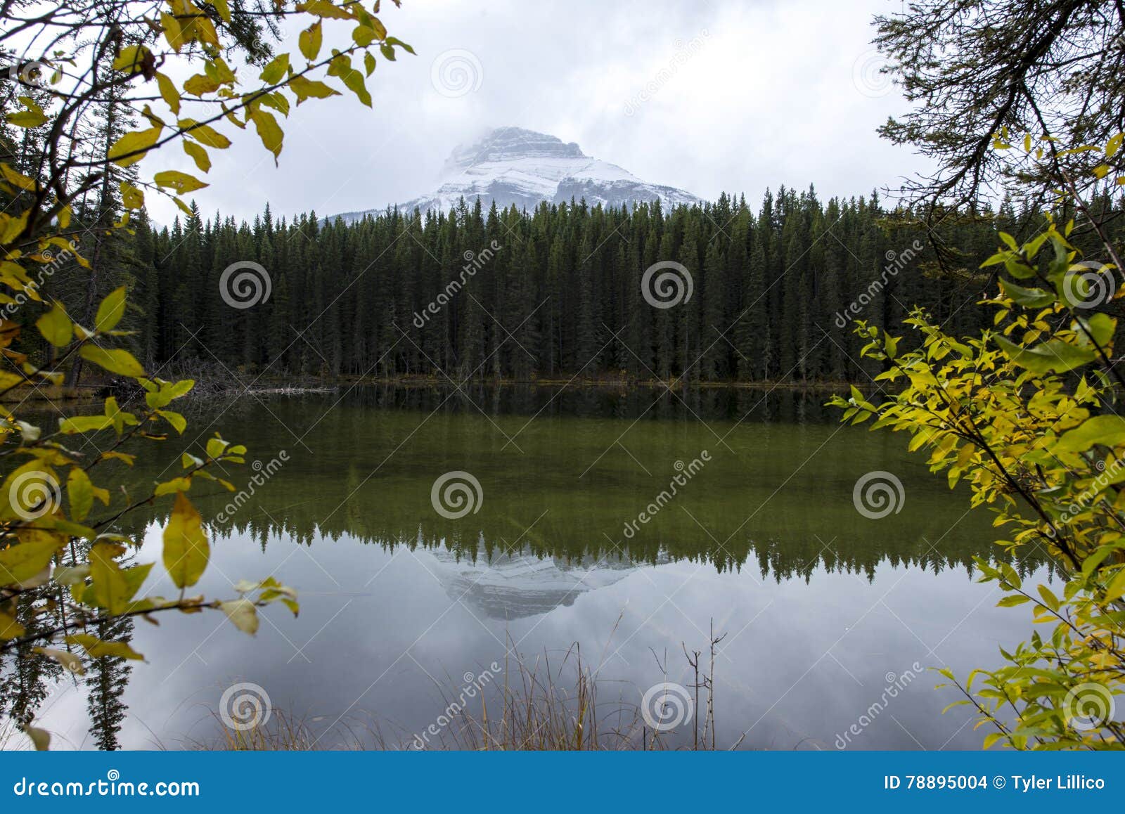 Mountain Reflection in a Calm Lake during Fall Hike Stock Photo - Image ...