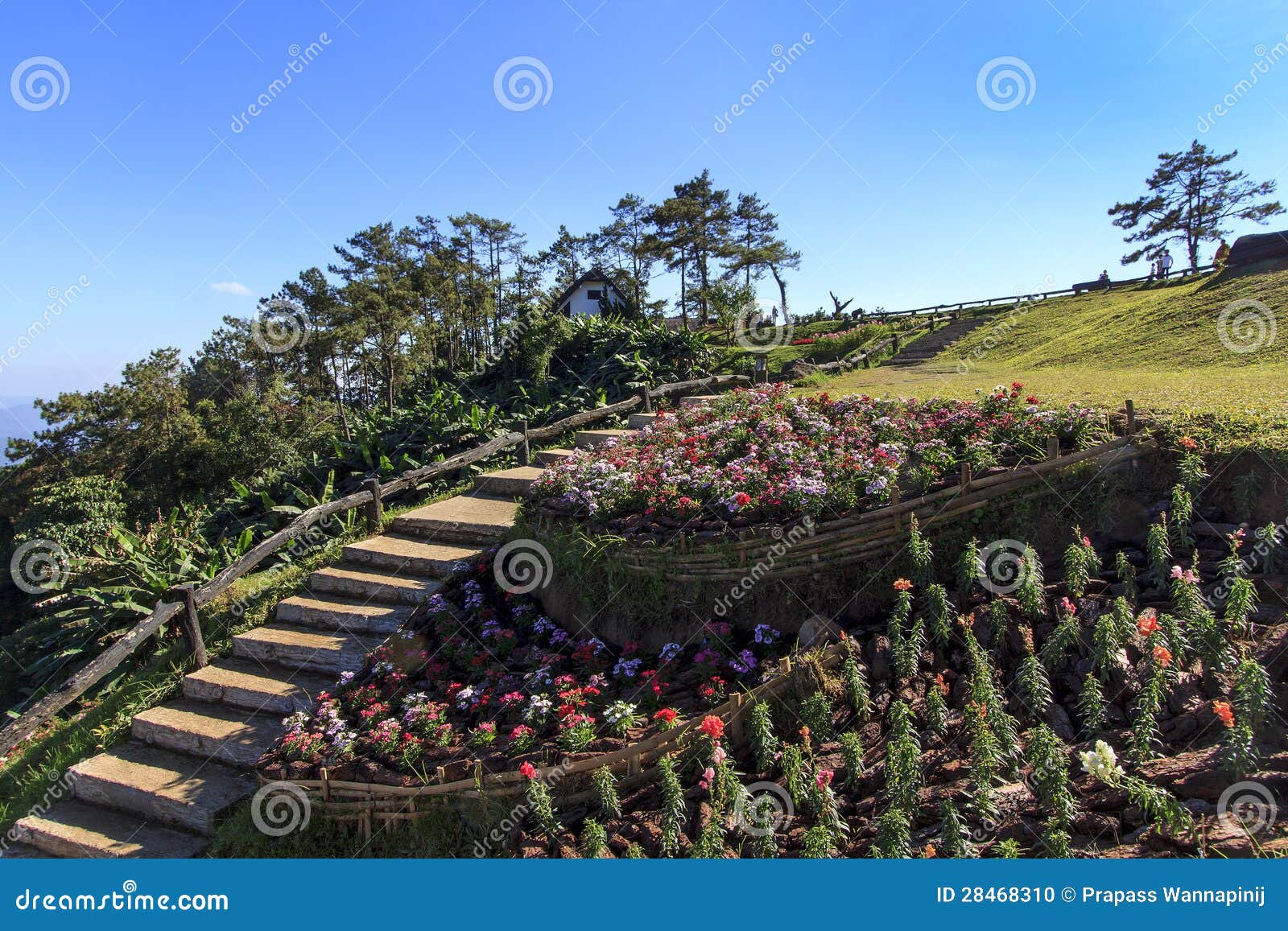 Mountain Resort with Flower Garden Stock Photo - Image of plant, asian ...