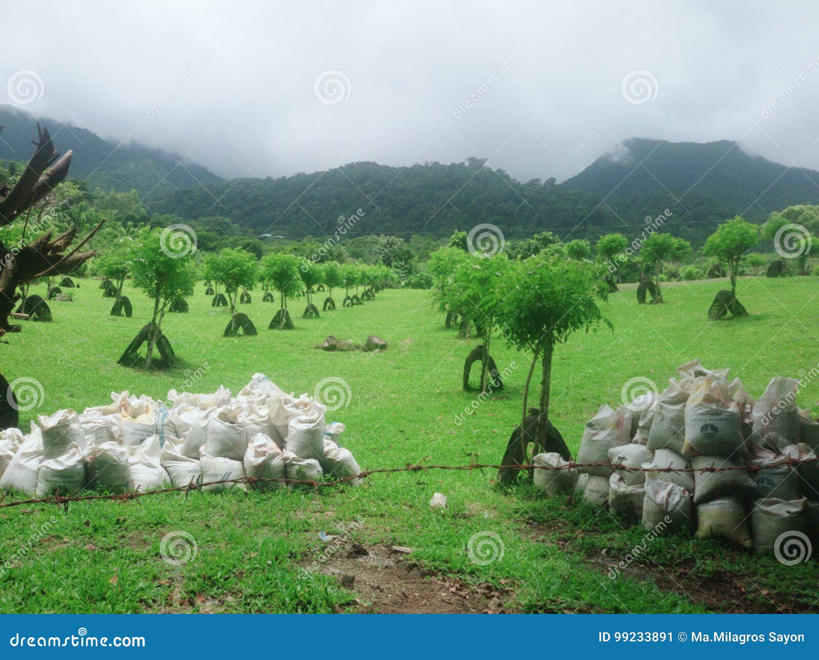 MOUNTAIN RESORT editorial photo. Image of jambaro, jambarobreading ...