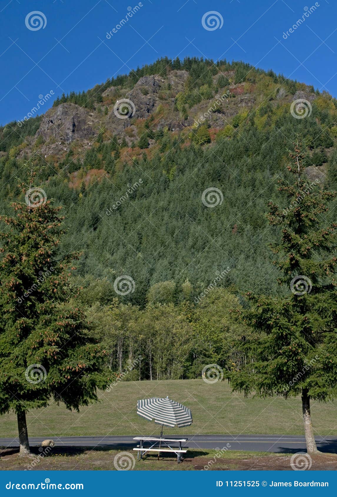 Mountain rest stop stock image. Image of umbrella, pine - 11251525