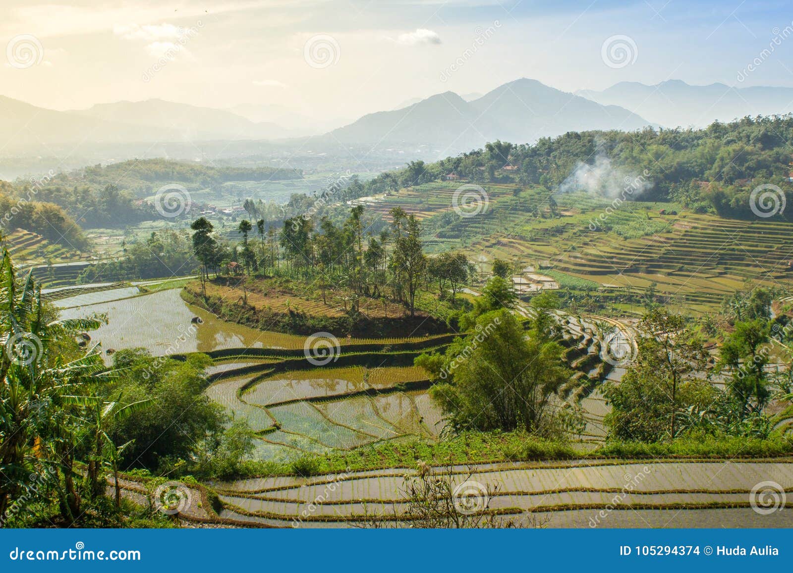 Mountain and Rice Field stock photo. Image of garden - 105294374