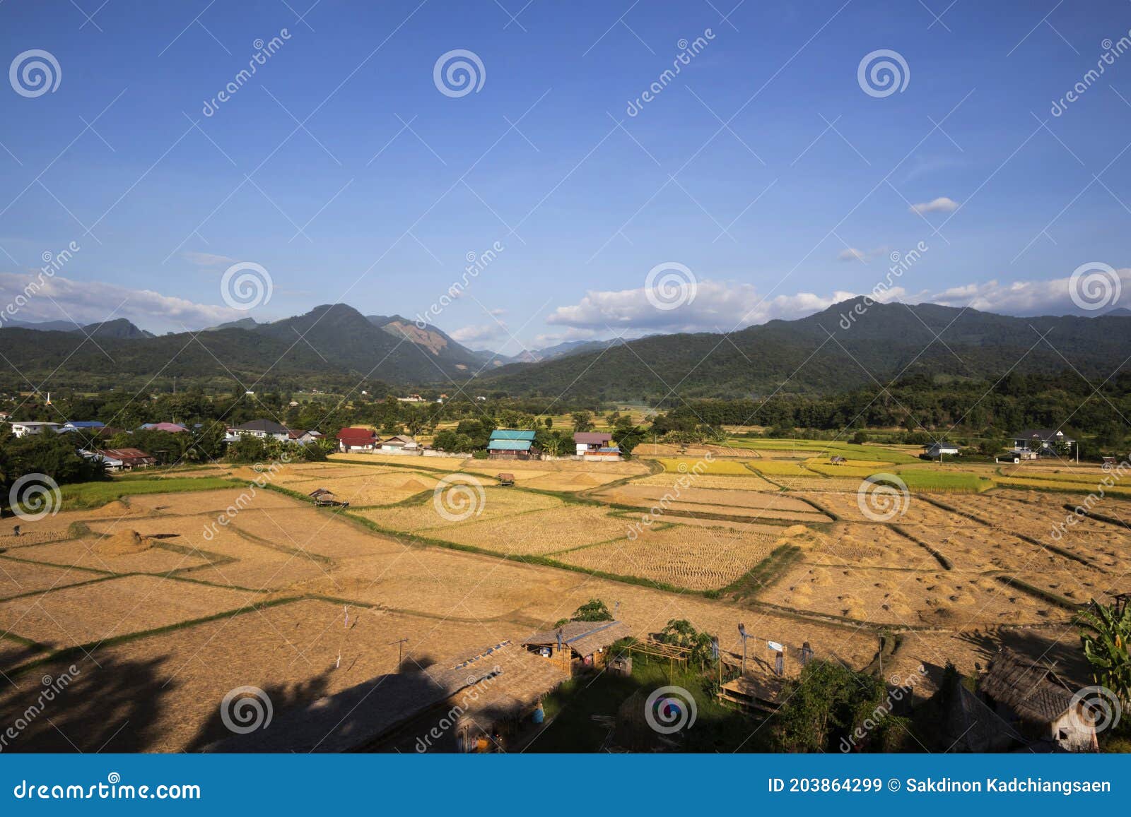 Mountain and Rice Fields View after Harvest Stock Image - Image of ...