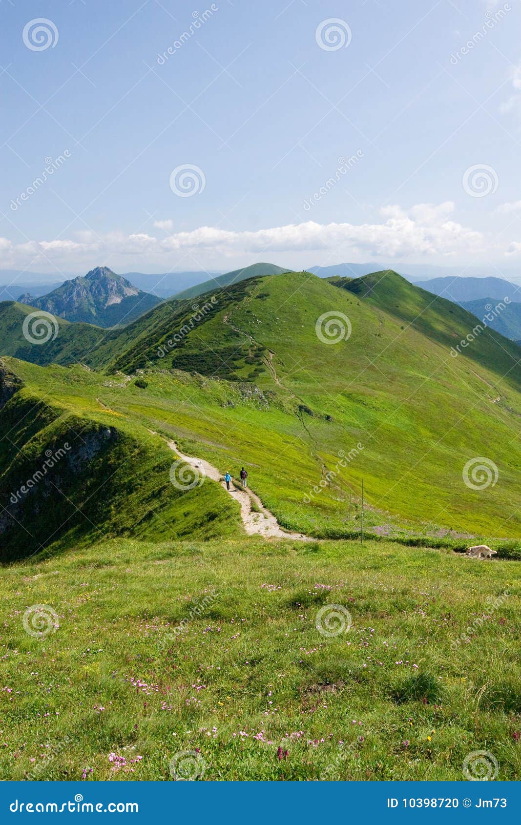 On the mountain-ridge stock photo. Image of meadow, summer - 10398720