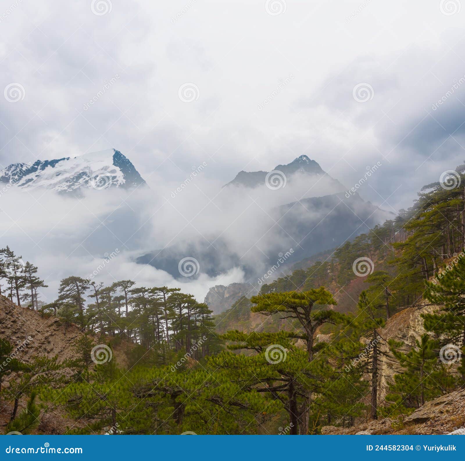 Mountain Ridge in Mist and Dense Clouds Stock Photo - Image of scene ...
