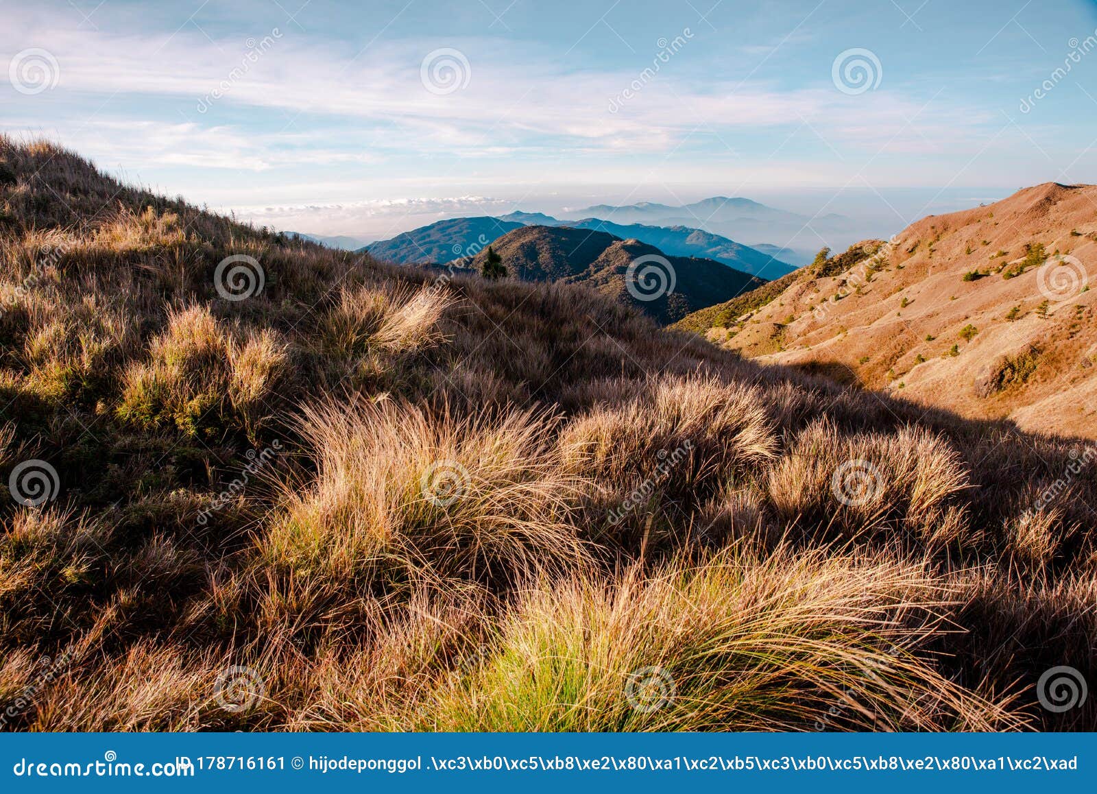 Mountain Ridges of Corrdillera from the Summit of Mt. Pulag, Benguet ...