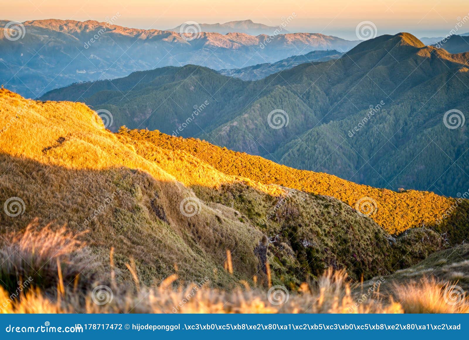 Mountain Ridges of Corrdillera from the Summit of Mt. Pulag, Benguet ...